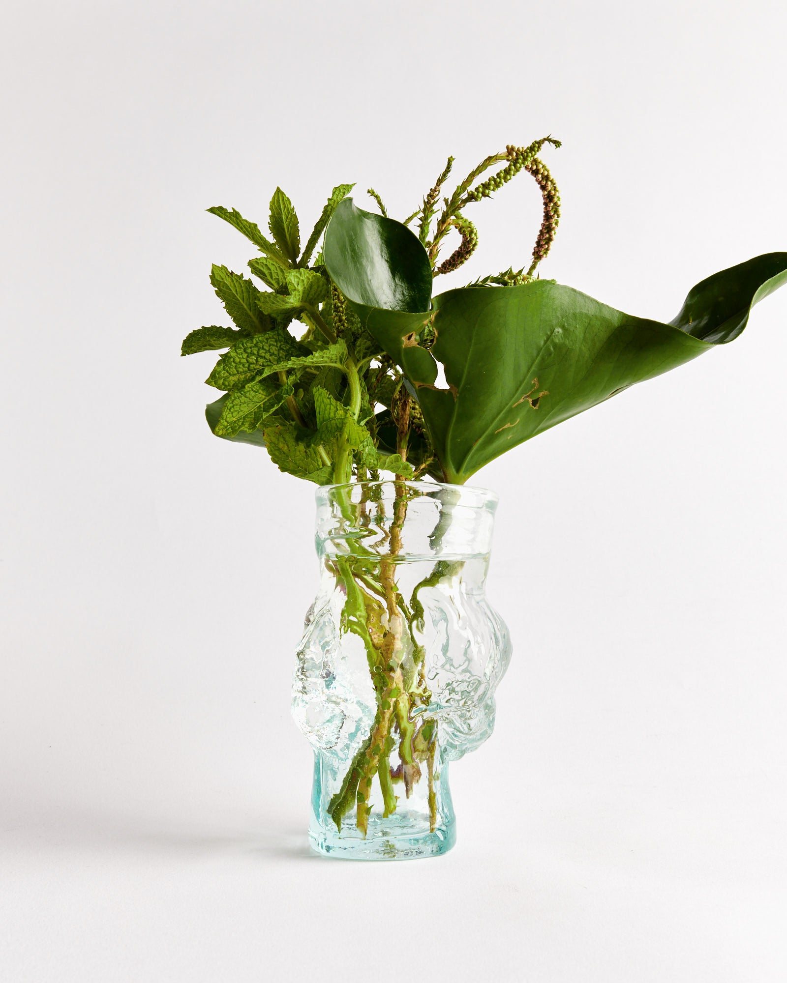 Angelo in Transparent – Mohawk General Store